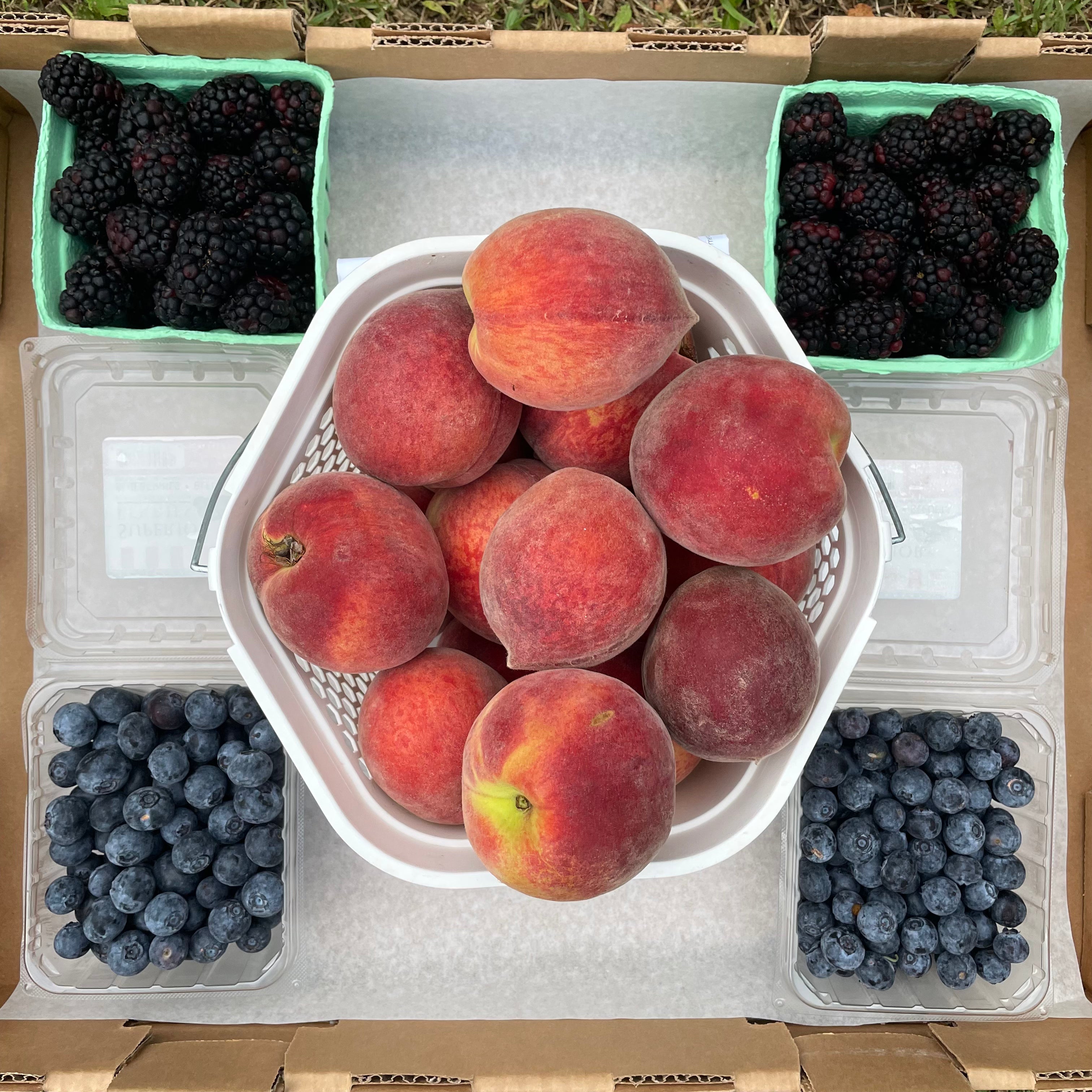 Produce Box - Small – Rainbow Packaging Corporation