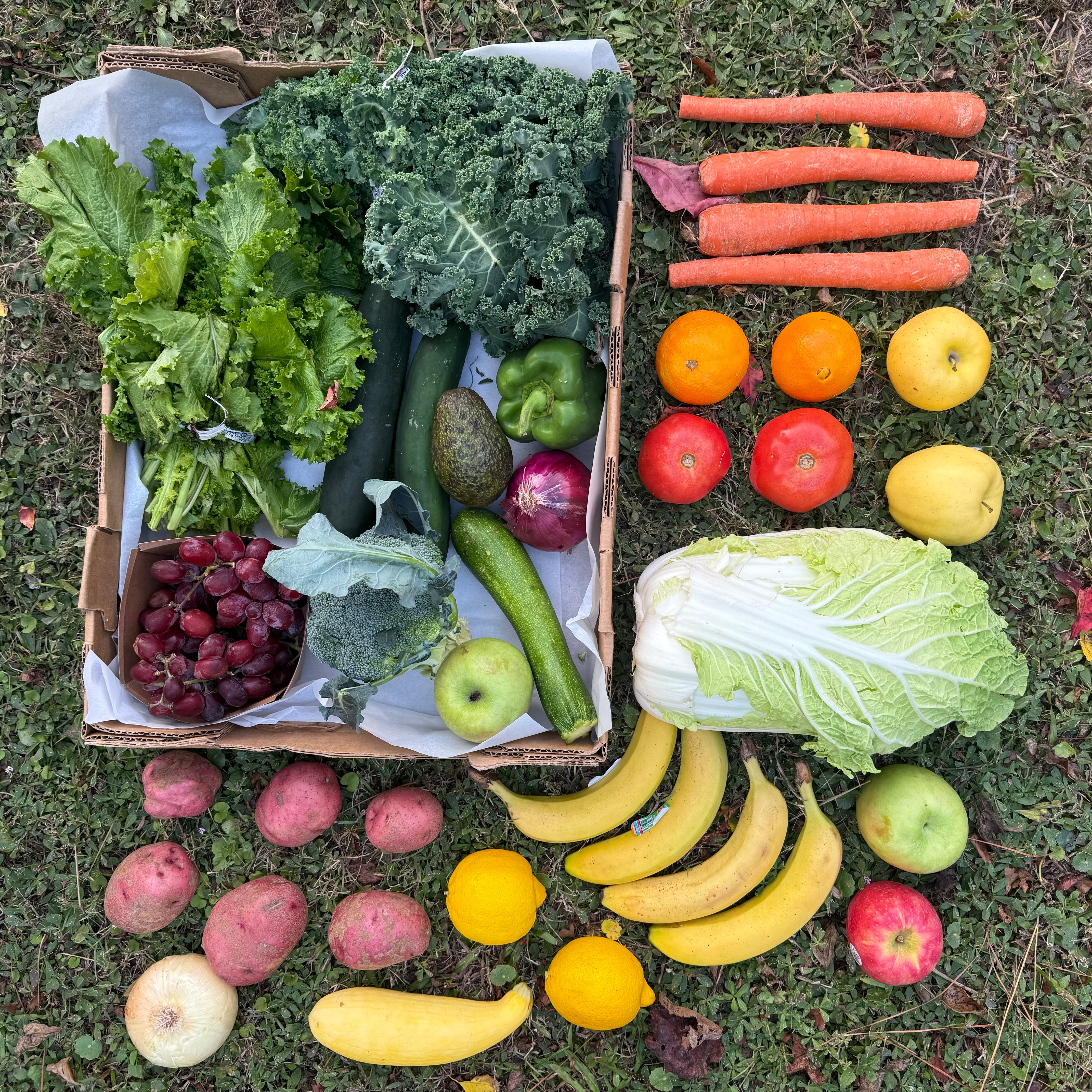 Produce Box - Large – Rainbow Packaging Corporation