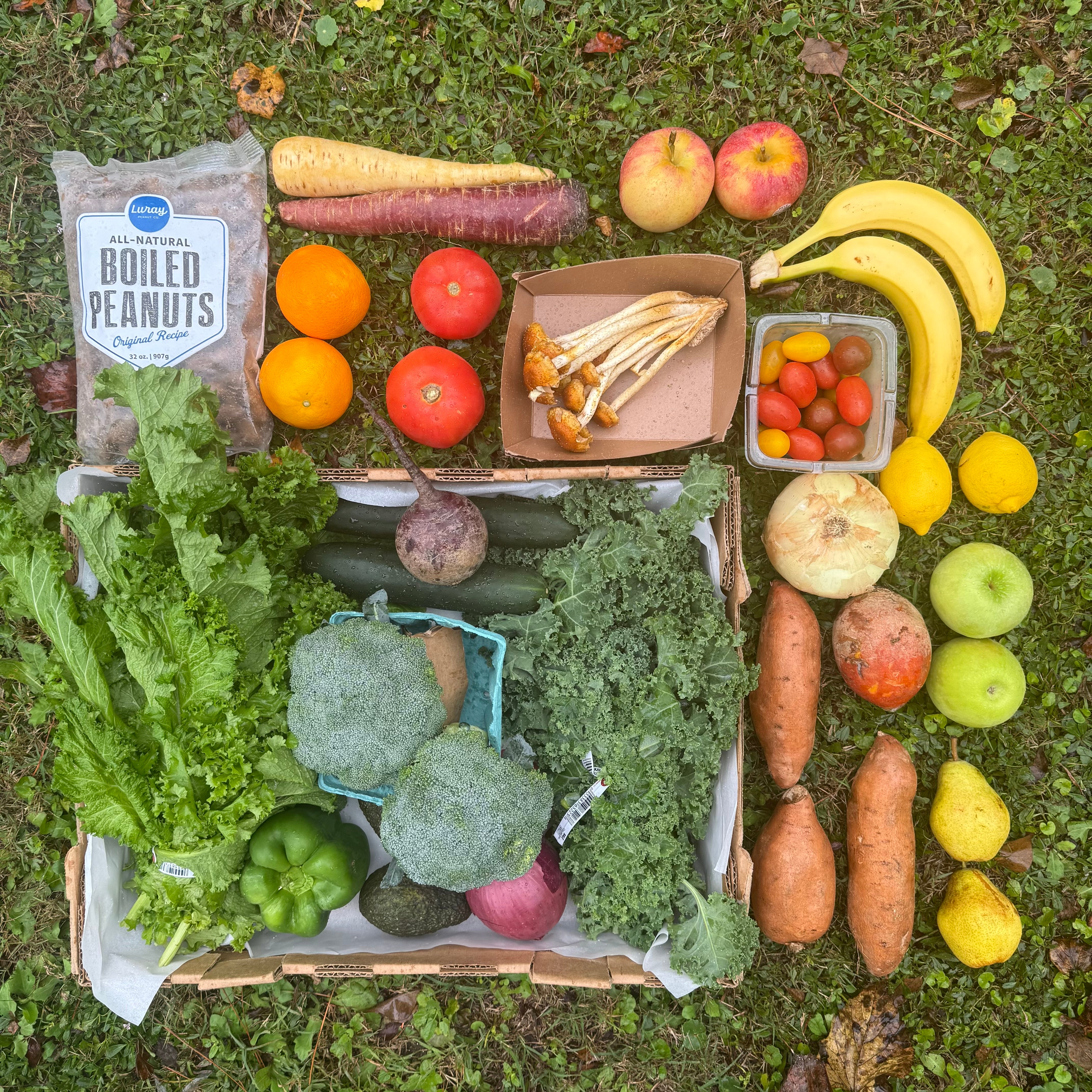 Produce Box - XL – Rainbow Packaging Corporation