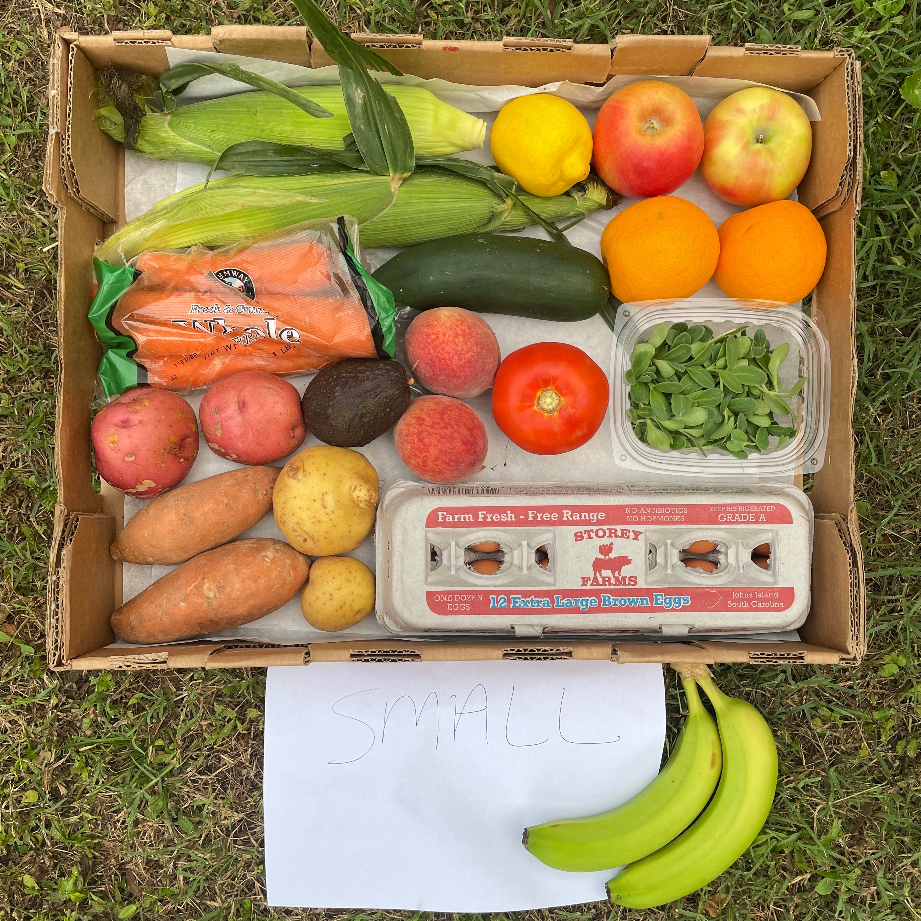 Produce Box - Small – Rainbow Packaging Corporation