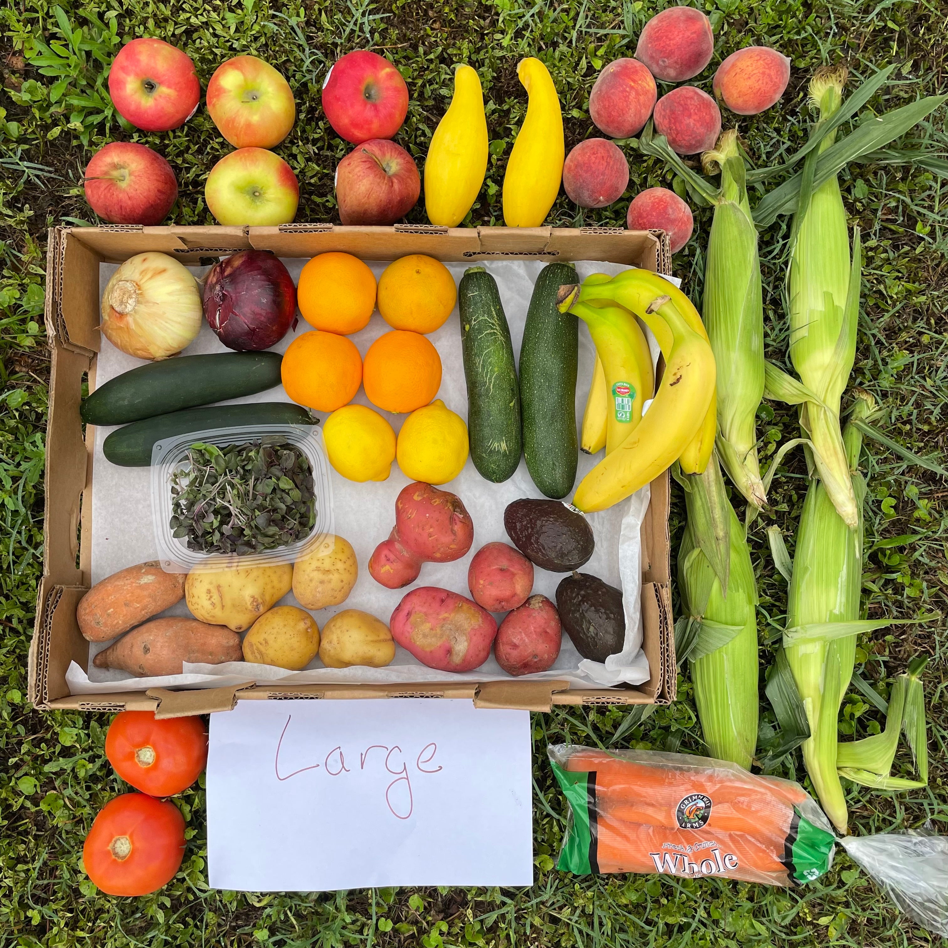 Free Same-Day Delivery – Rainbow Packaging Corporation