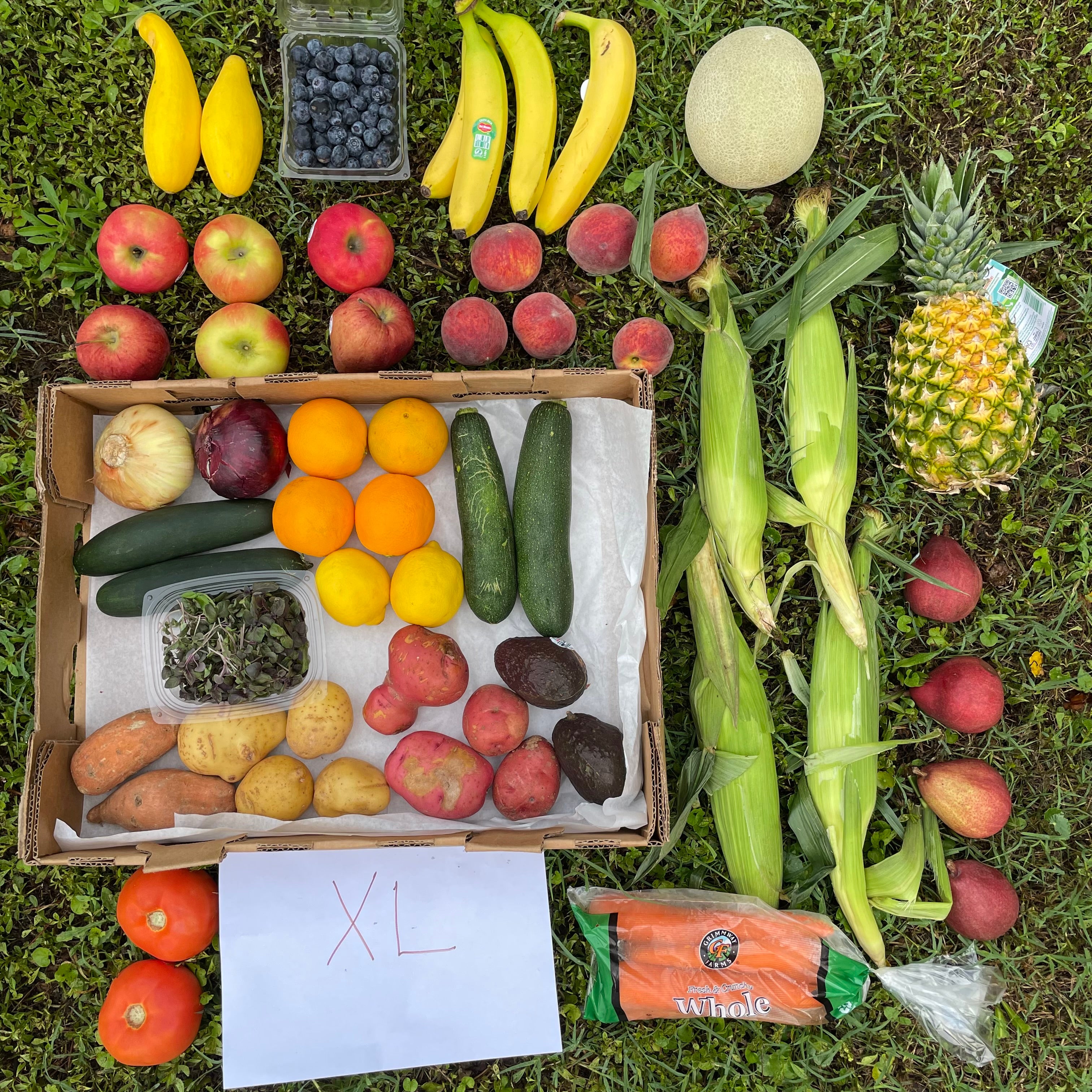 Free Same-Day Delivery – Rainbow Packaging Corporation