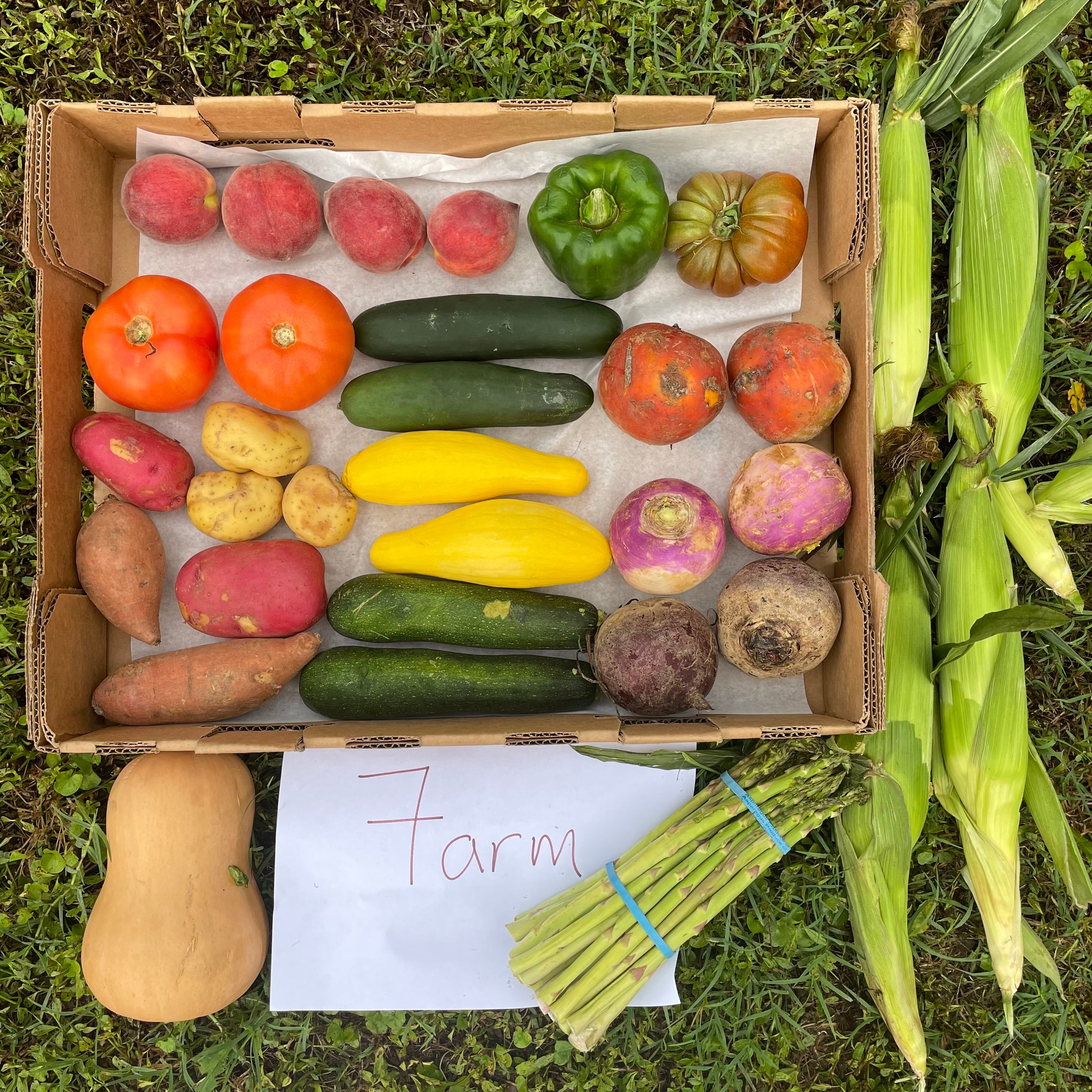 Free Same-Day Delivery – Rainbow Packaging Corporation