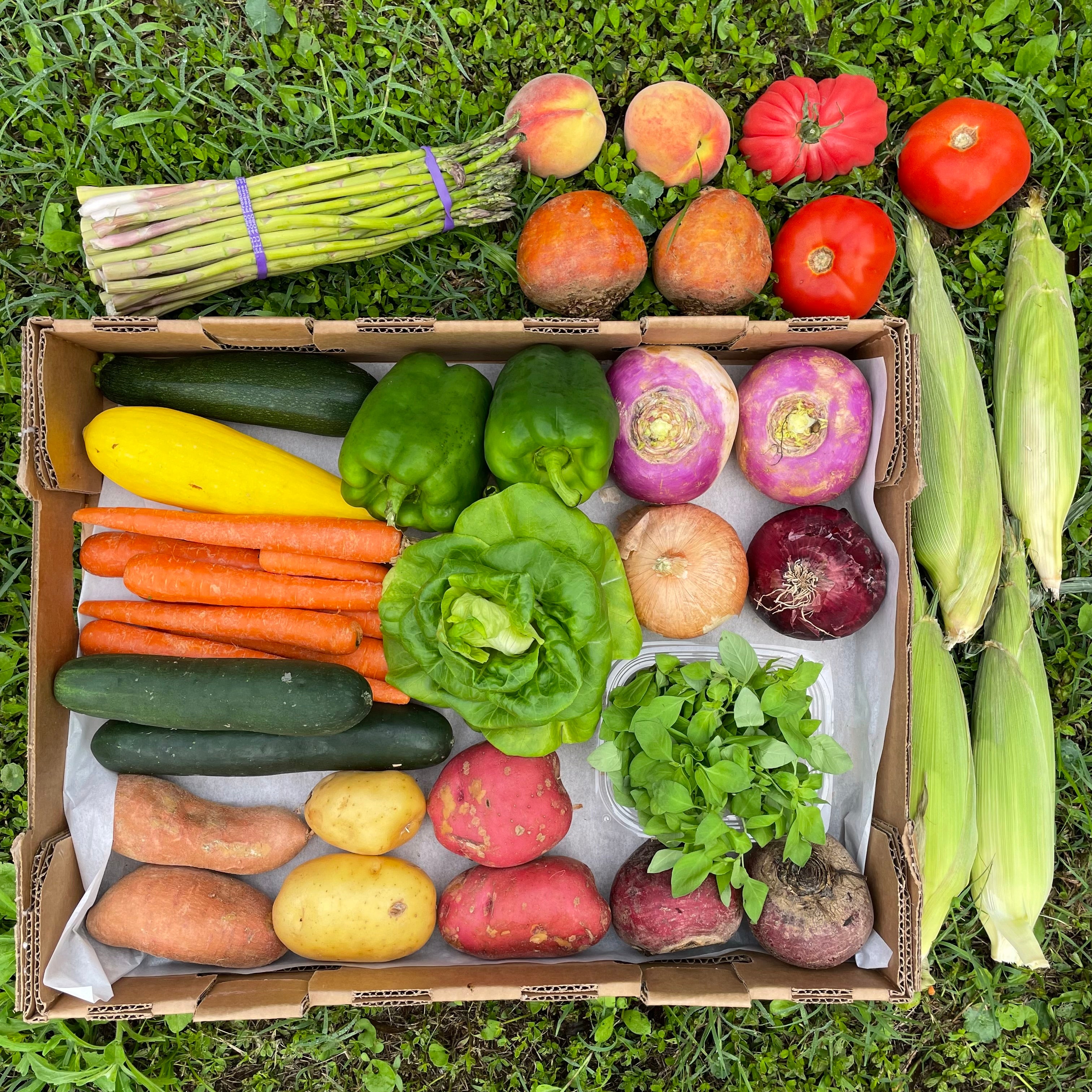 Free Same-Day Delivery – Rainbow Packaging Corporation