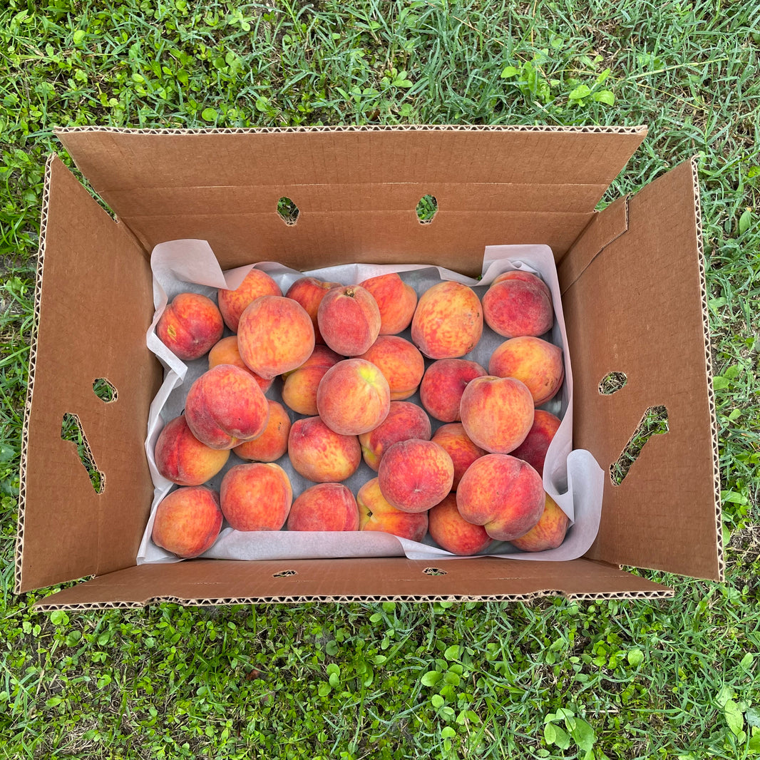 Free Same-Day Delivery – Rainbow Packaging Corporation