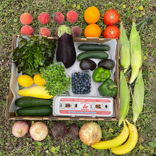 Free Same-Day Delivery – Rainbow Packaging Corporation