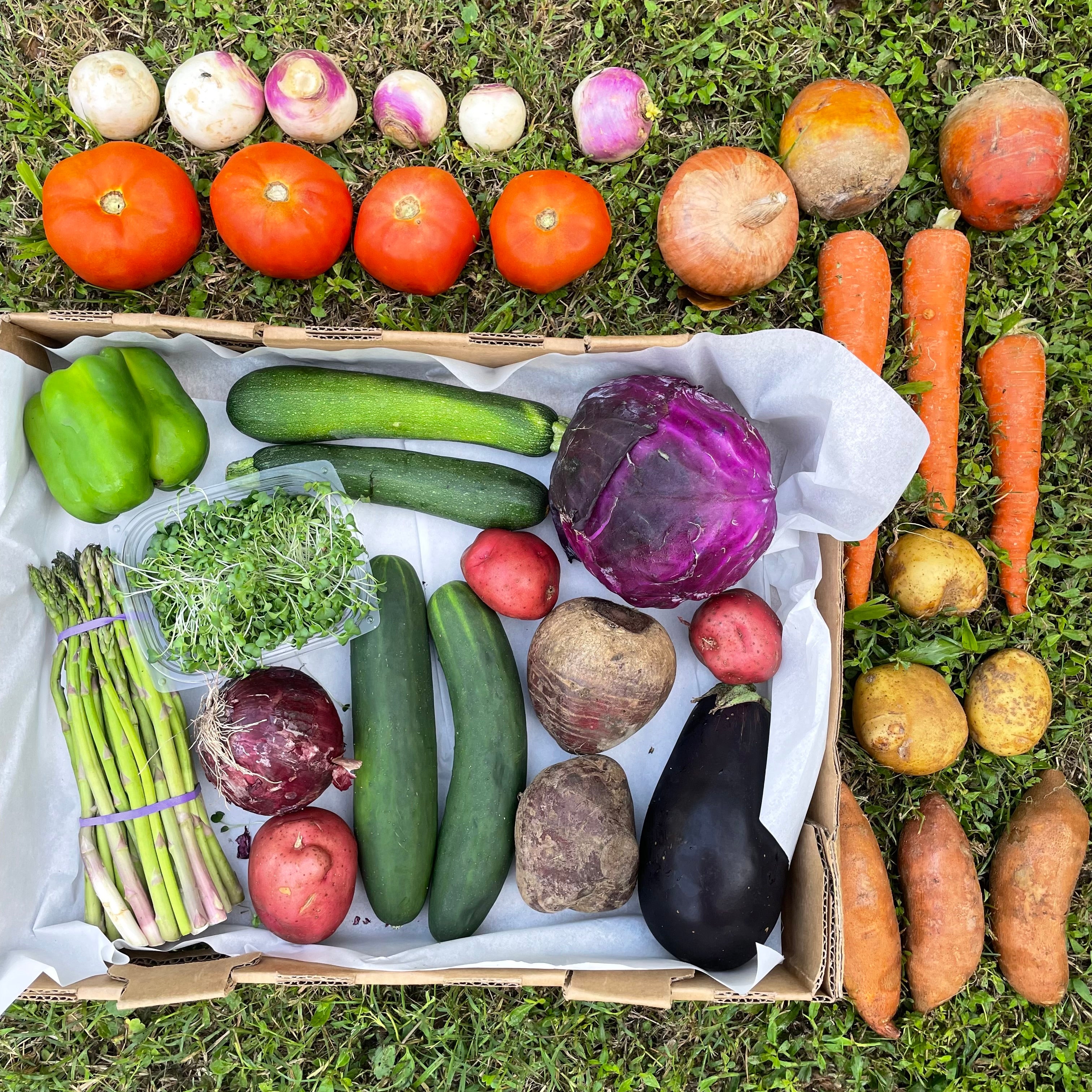 Farm Box – Rainbow Packaging Corporation