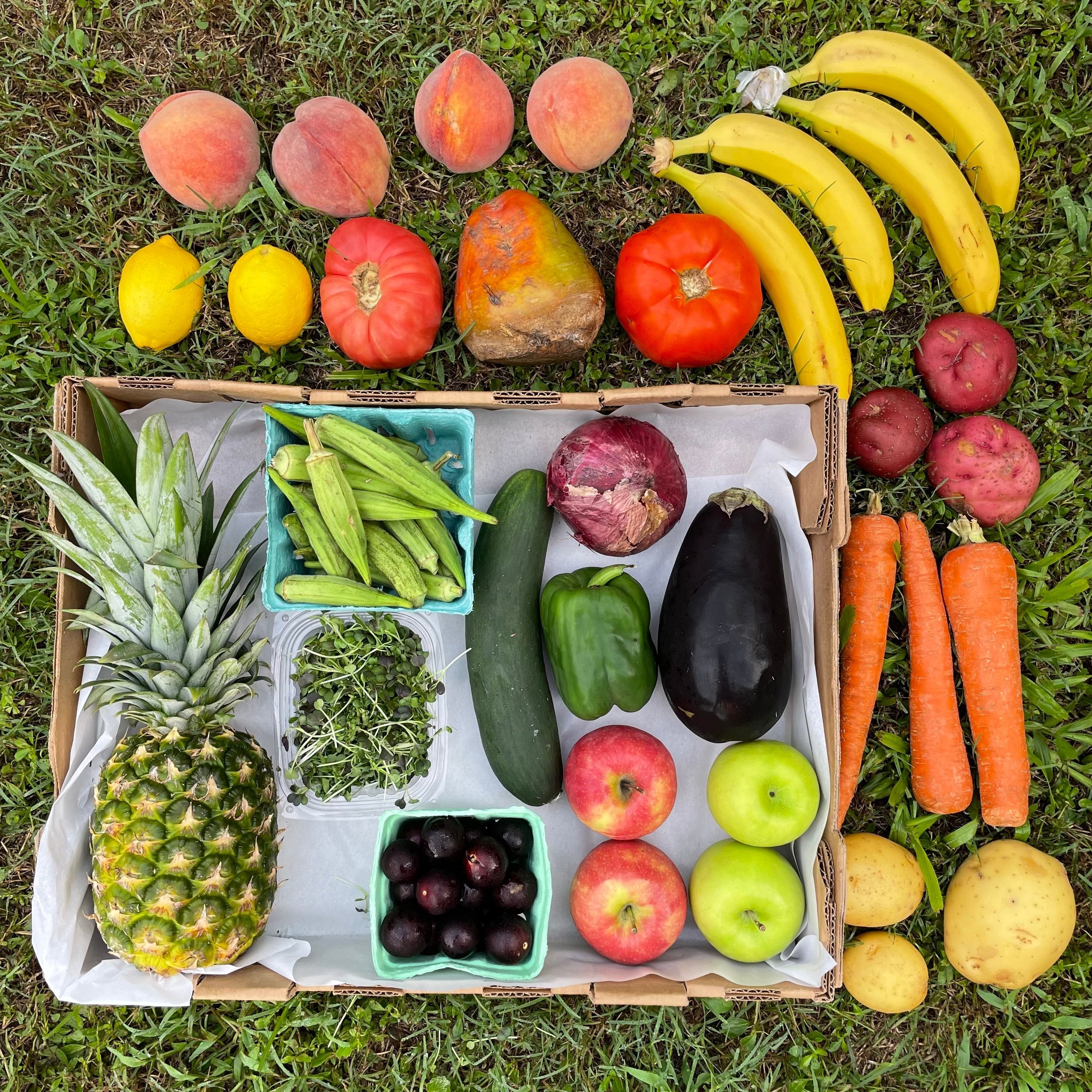 Daily Deal – Rainbow Packaging Corporation