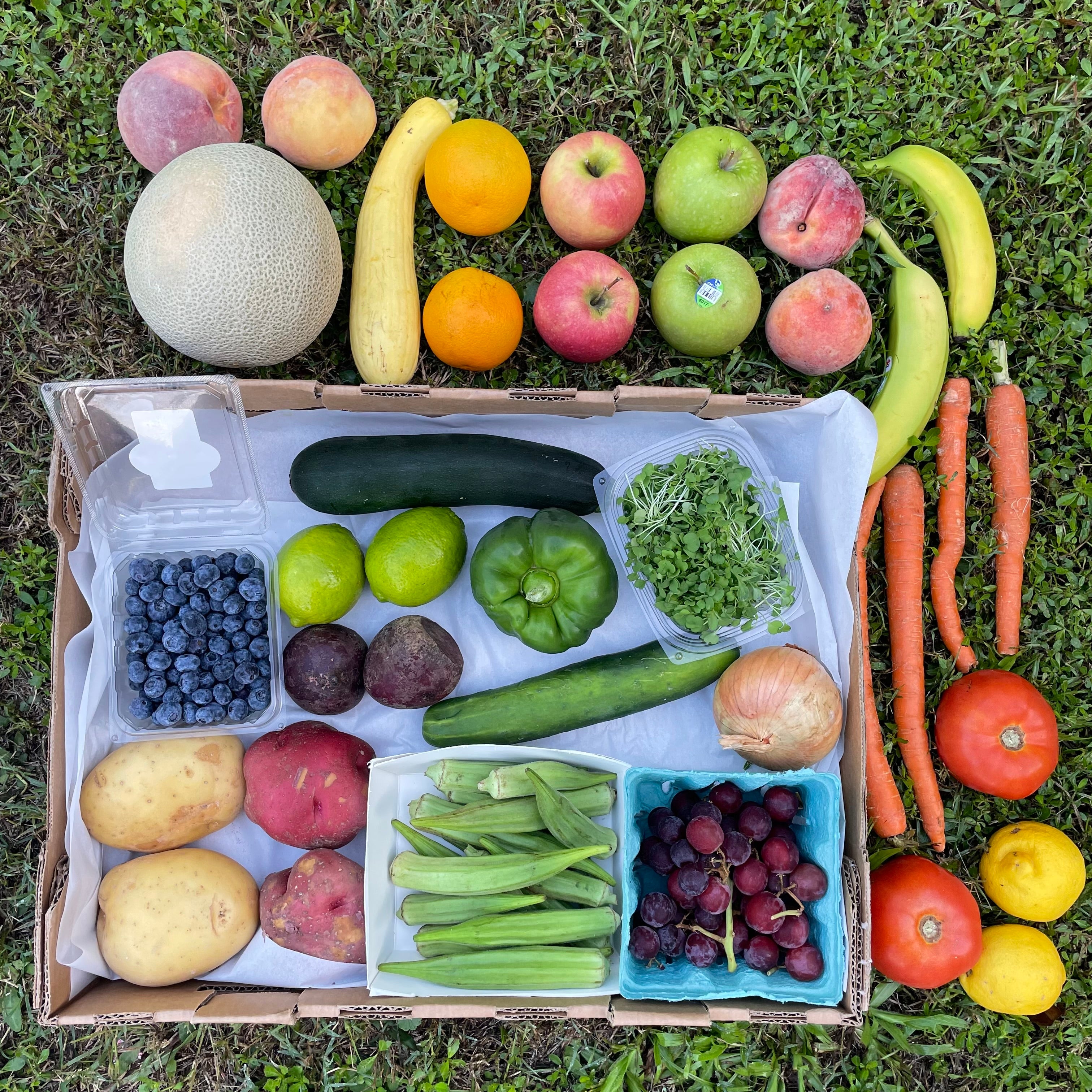 Daily Deal – Rainbow Packaging Corporation