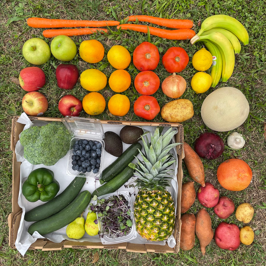 Free Same-Day Delivery – Rainbow Packaging Corporation