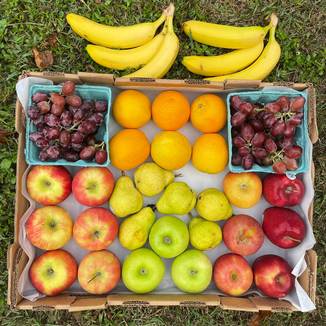 Free Same-Day Delivery – Rainbow Packaging Corporation