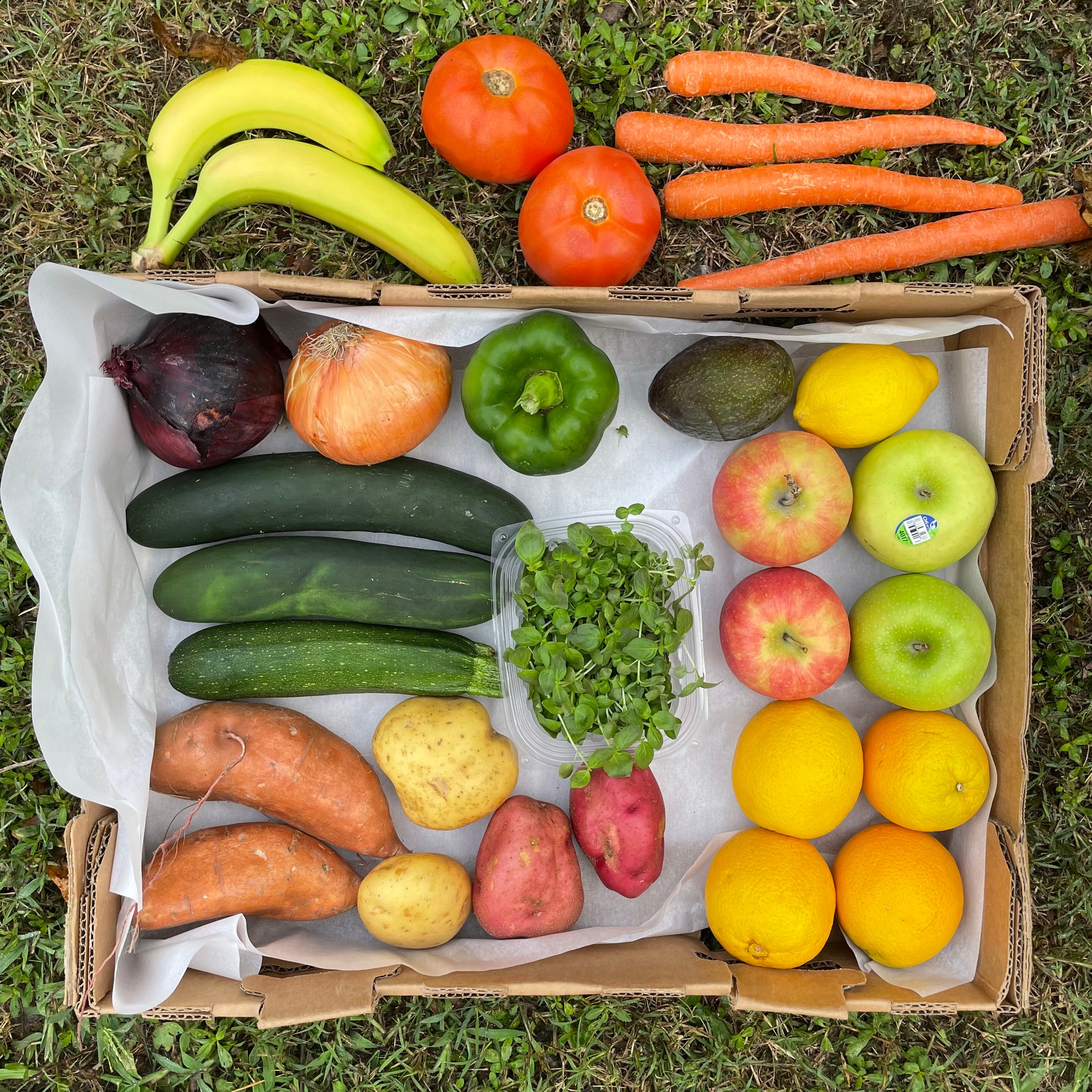 Produce Box – Rainbow Packaging Corporation