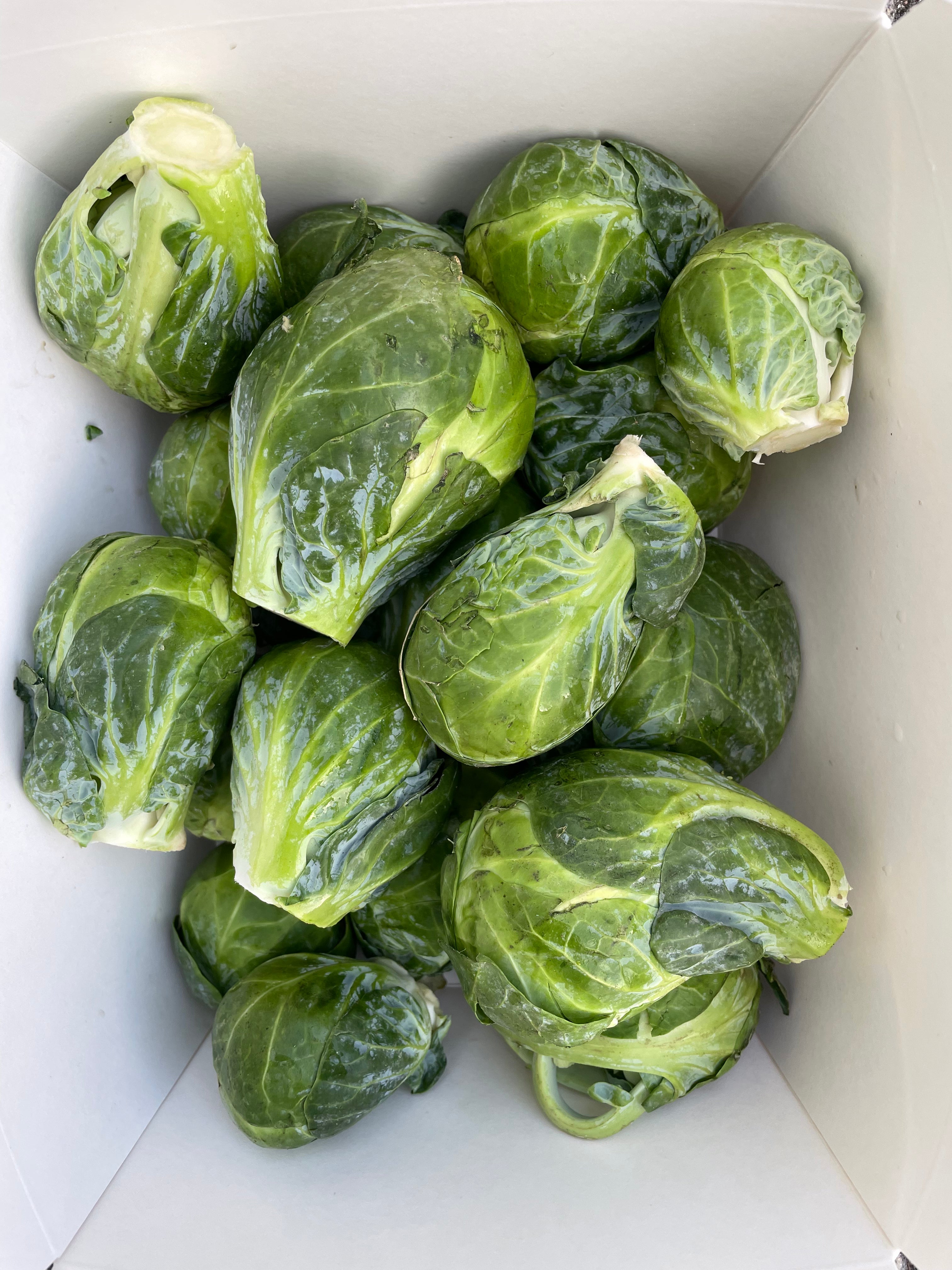 Brussels Sprouts – Rainbow Packaging Corporation